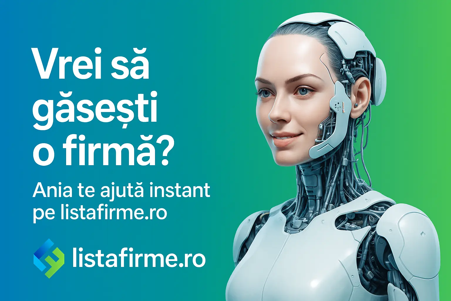 Ghid de utilizare ListaFirme